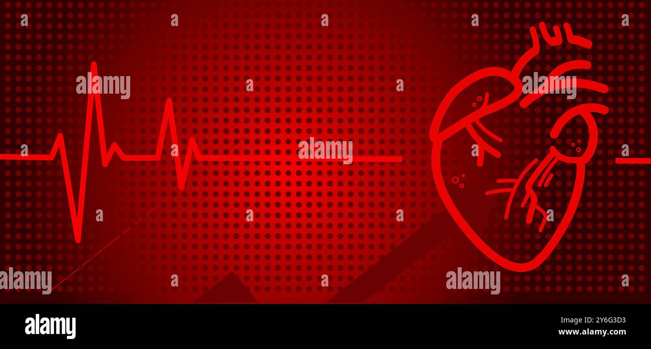 Heart, heart muscle with ekg background Stock Vector Image & Art - Alamy