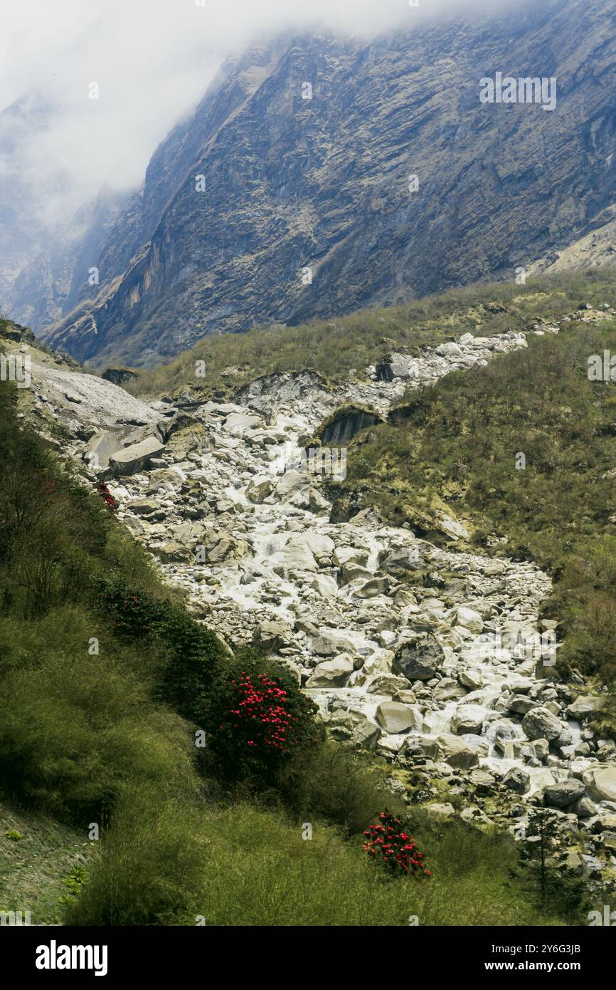 A village in Nepal, Guest house in Nepal, Annapurna Base Camp Trekking ...