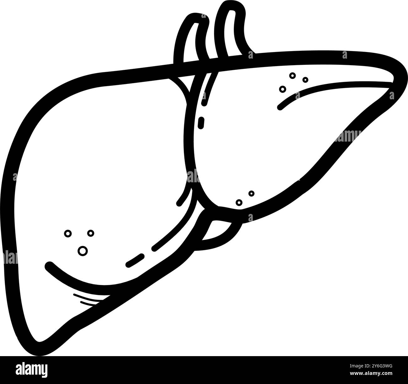 human liver - vector icon Stock Vector Image & Art - Alamy