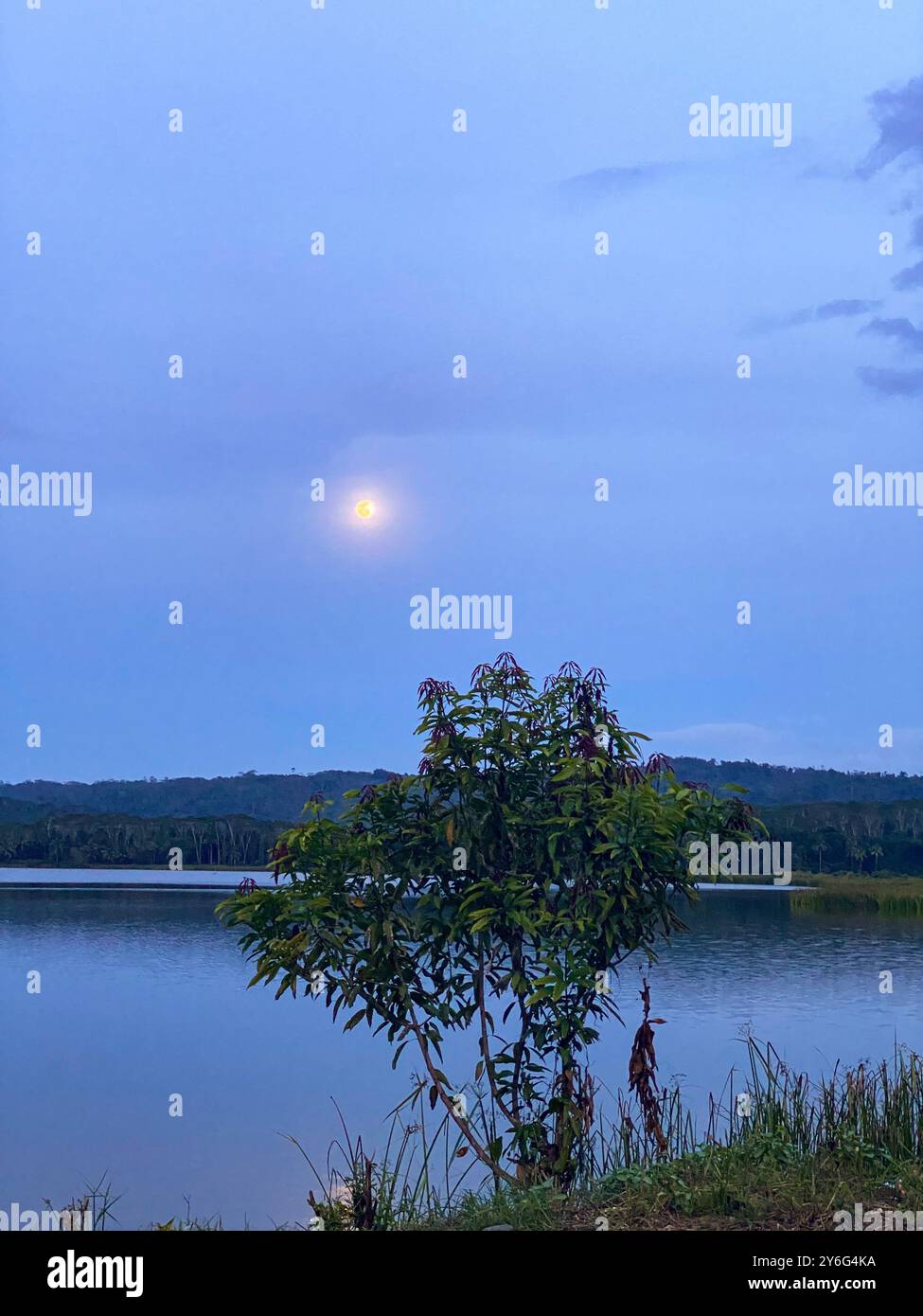 Beautiful view of moon over the lake in Mindanao, Philippines Stock ...