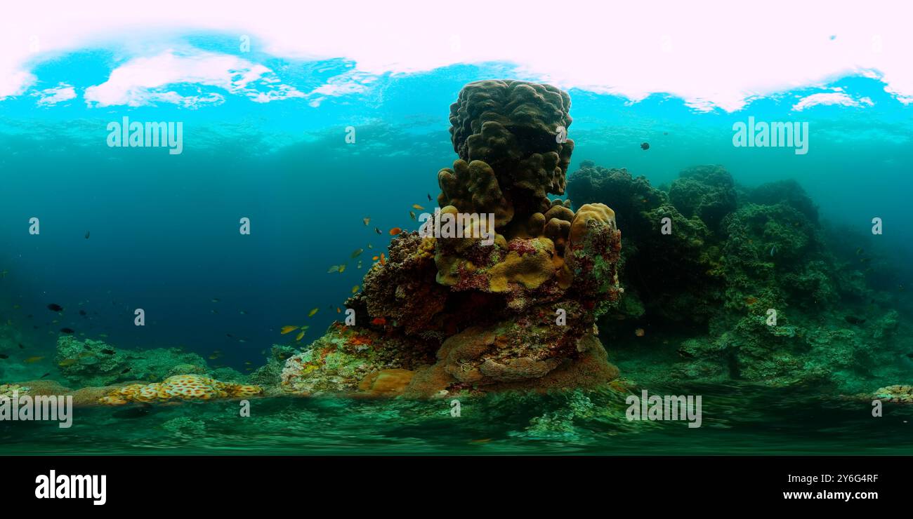Coral reef and fish underwater world. Diving and snorkeling scene ...