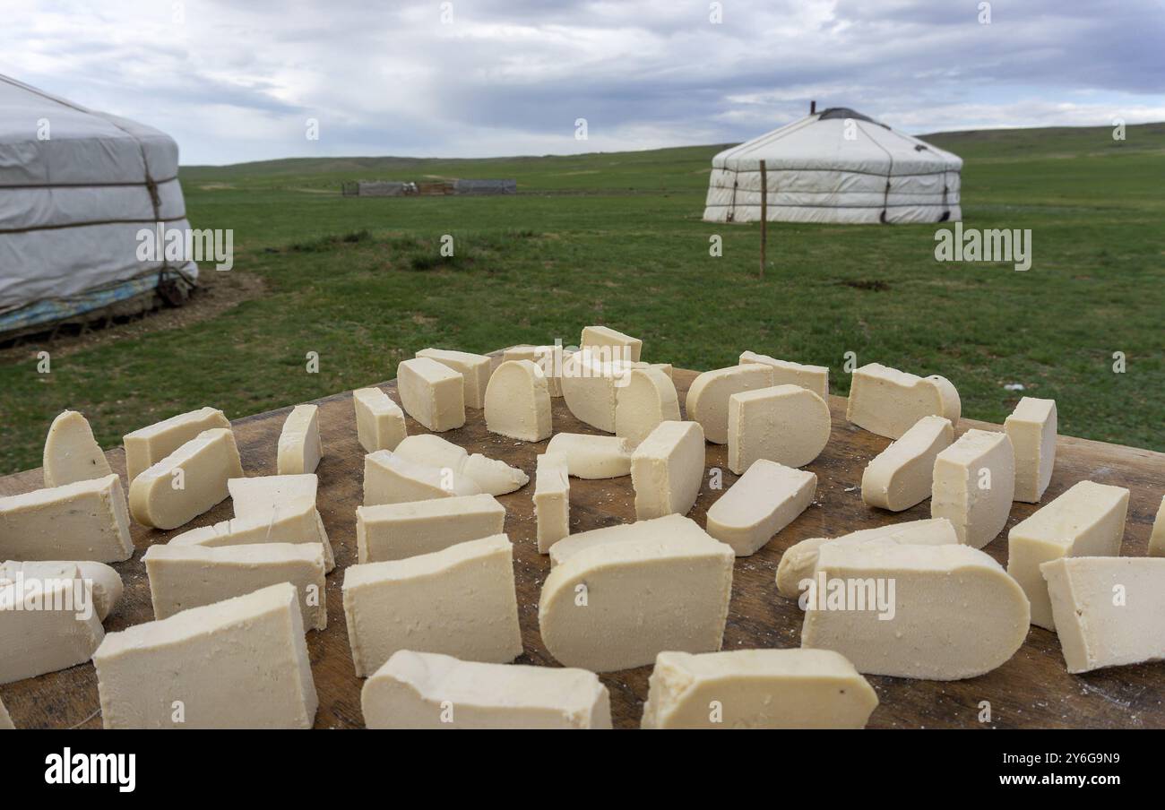 Mongolian dairy product Aaruul or Gurt made from drained sour milk ...
