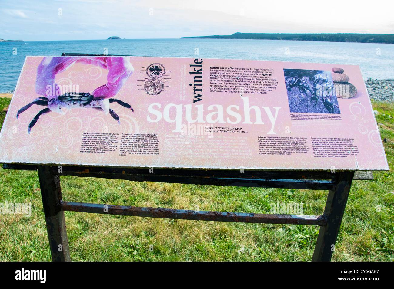 Information sign on sea life at the ecological reserve on Harbour Road ...