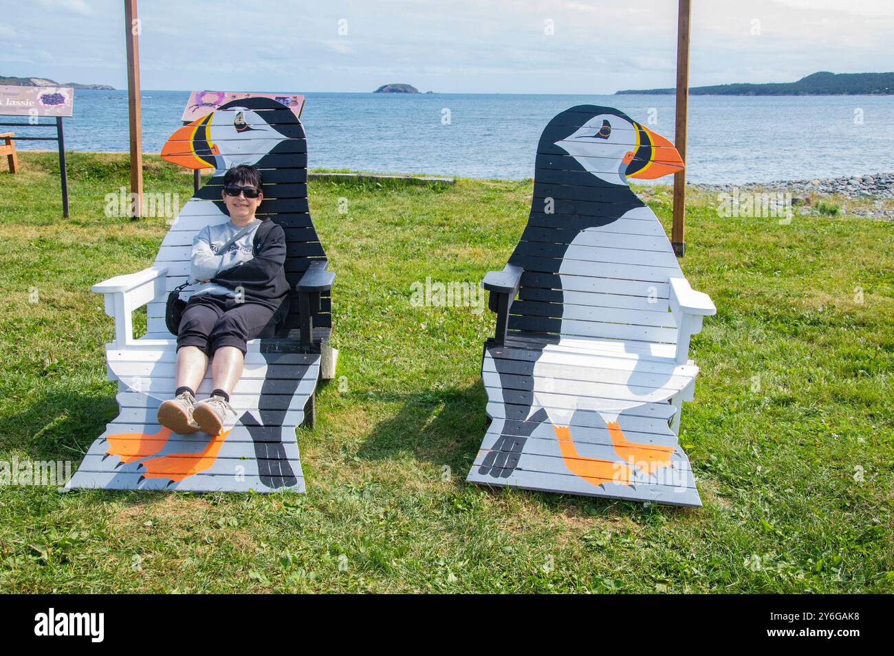 Atlantic puffin artwork hi-res stock photography and images - Alamy