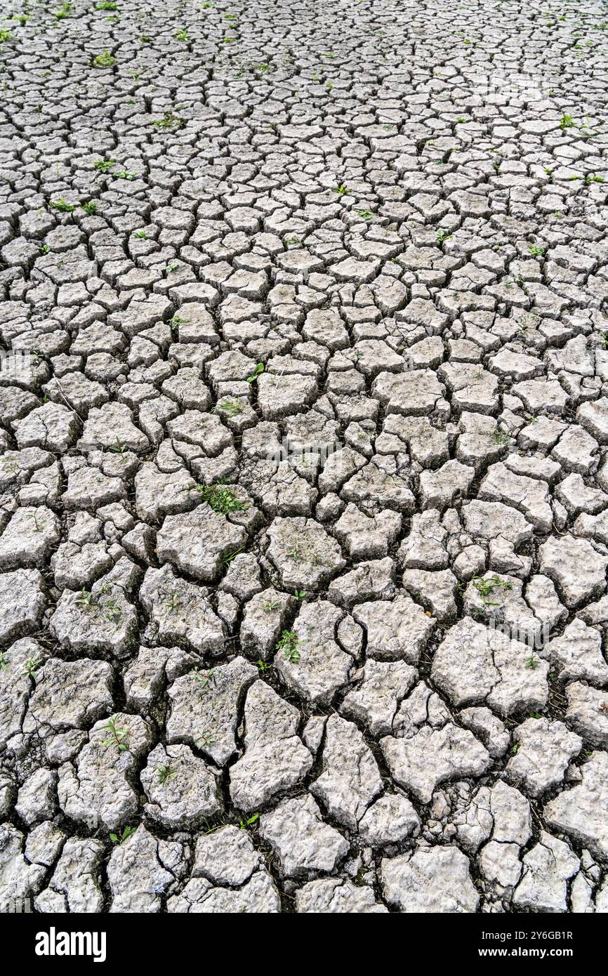 Dry ground, cracked, dried-up riverbed, in a branch of the Rhine, near ...