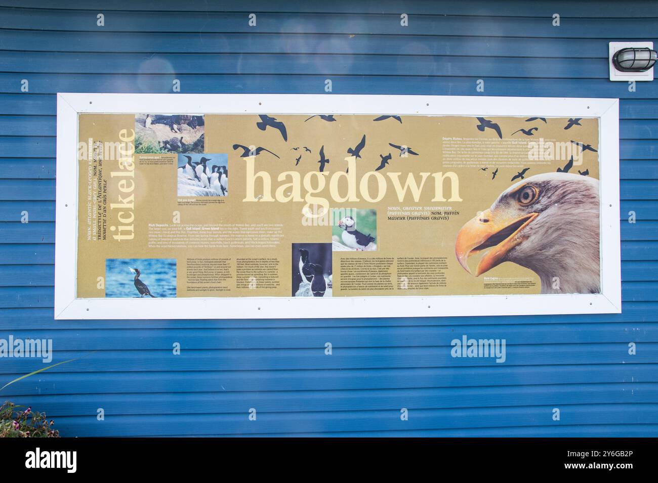 Information sign on birds at the ecological reserve on Harbour Road in ...