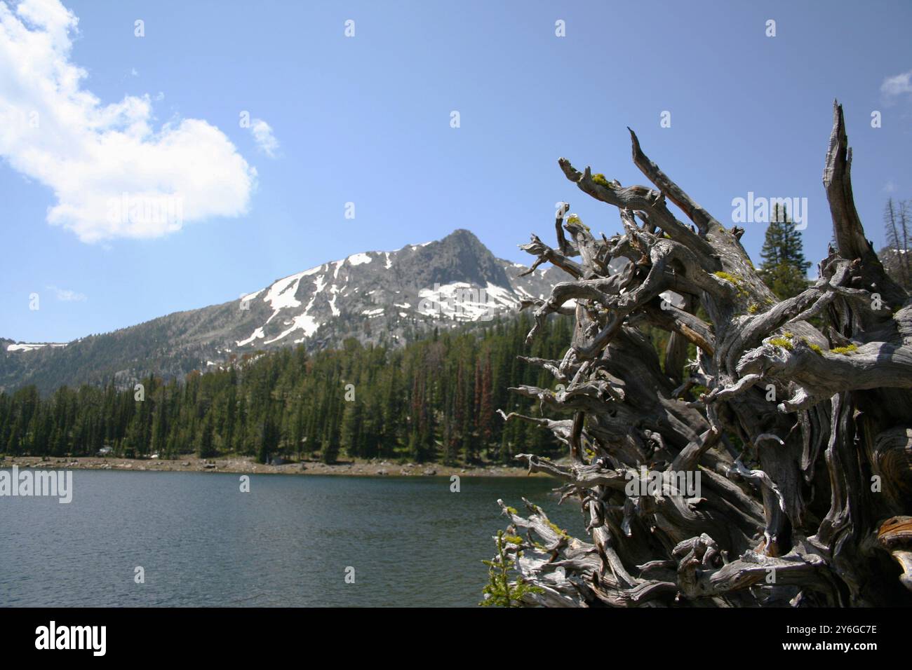 Tent Lake in the Pioneer Mountains of Montana Stock Photo - Alamy