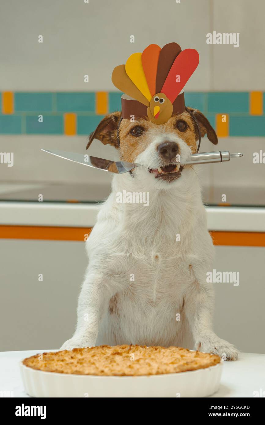 Dog in paper crown of Thanksgiving turkey holding a spatula to get a ...