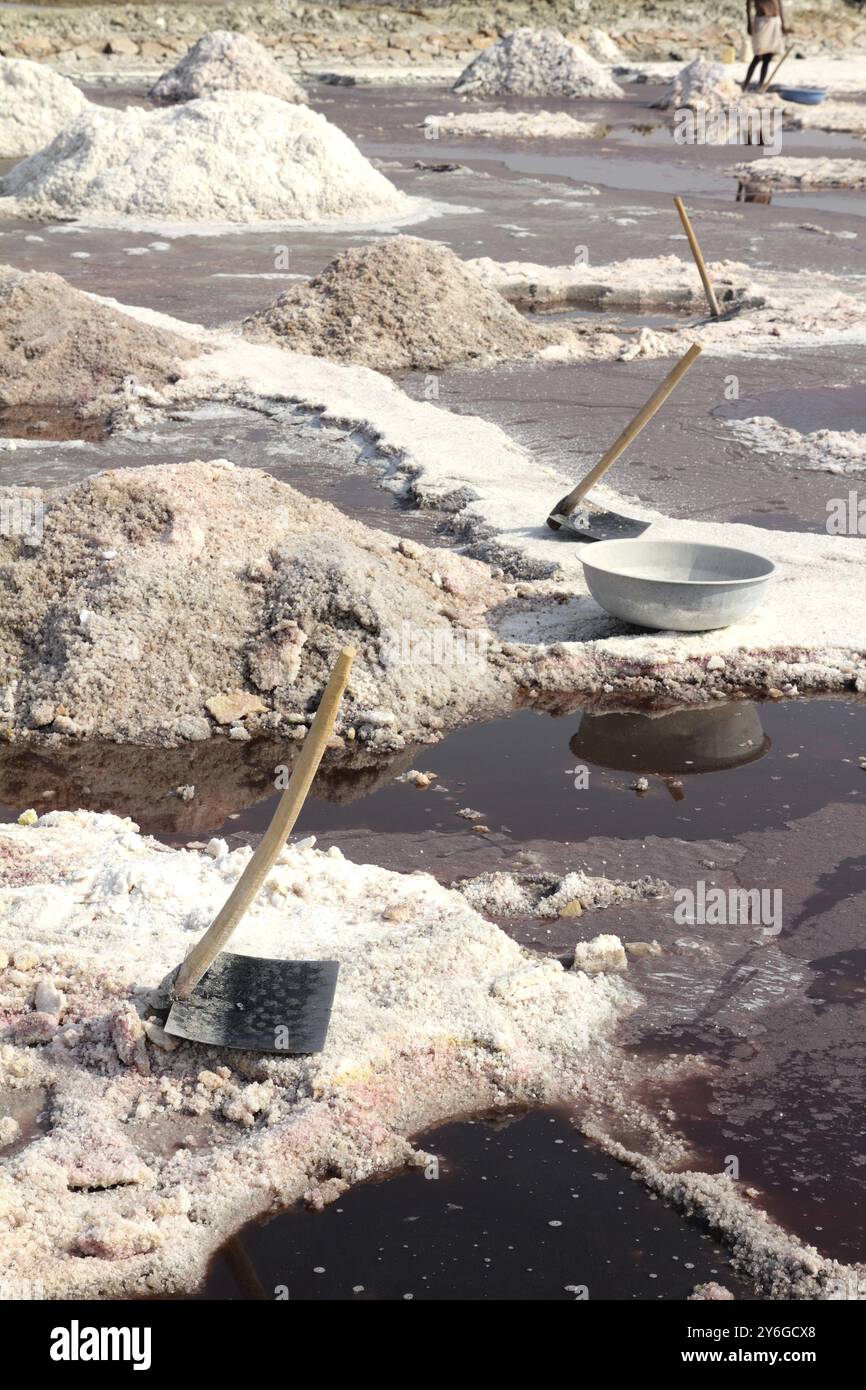 Salt mining on Sambhar lake in India Stock Photo - Alamy