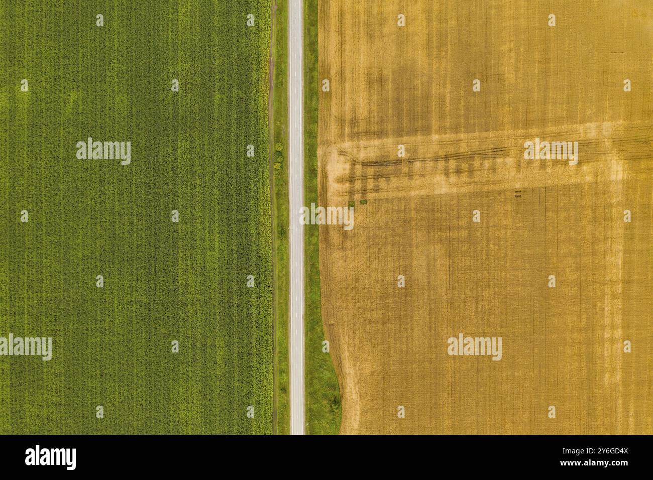Aerial top view drone photography of a land with sown green fields in ...