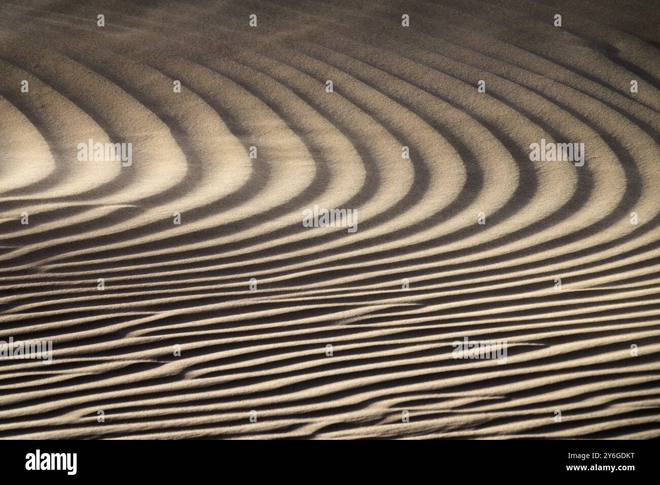 Sand blowing over sand dunes in wind, Sahara desert Stock Photo - Alamy