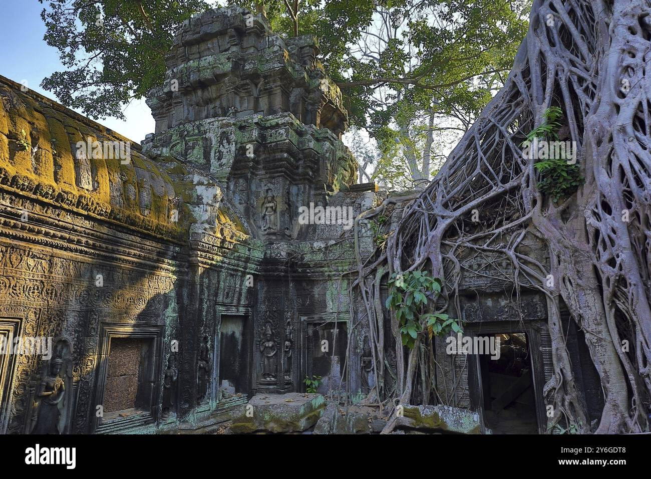 Roots of giant tree covering the ruin of Ta Prohm temple in Angkor Wat ...