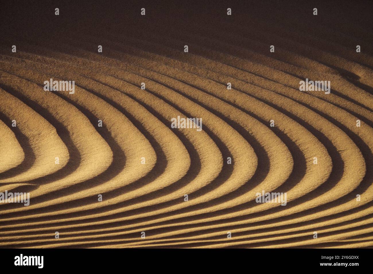 Beautiful sand dune pattern in wind, Sahara desert Stock Photo - Alamy
