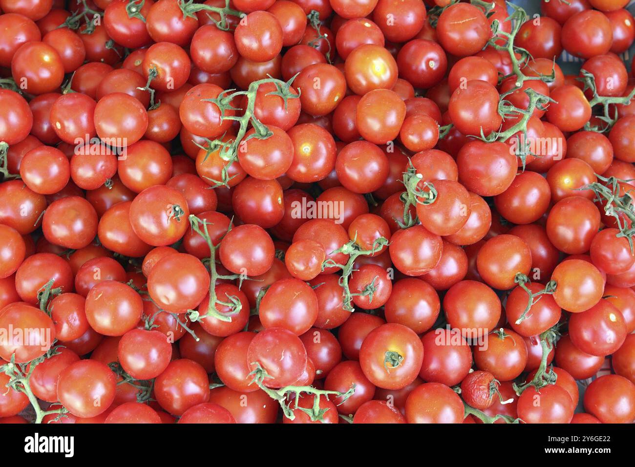 Lot of ripe tomato, food background Stock Photo - Alamy