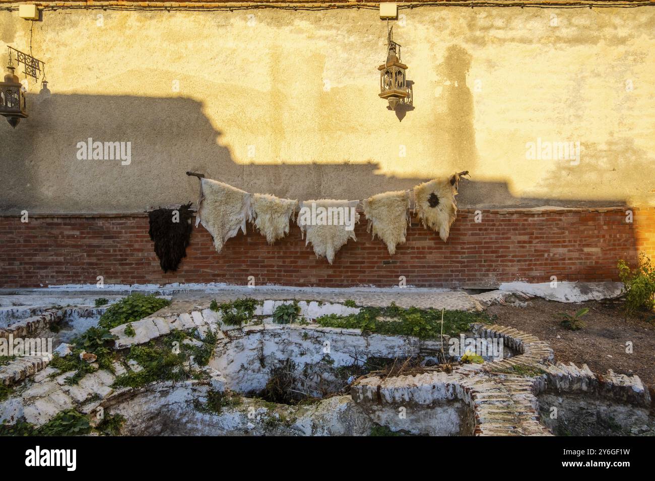 Arabic tanks hi-res stock photography and images - Alamy