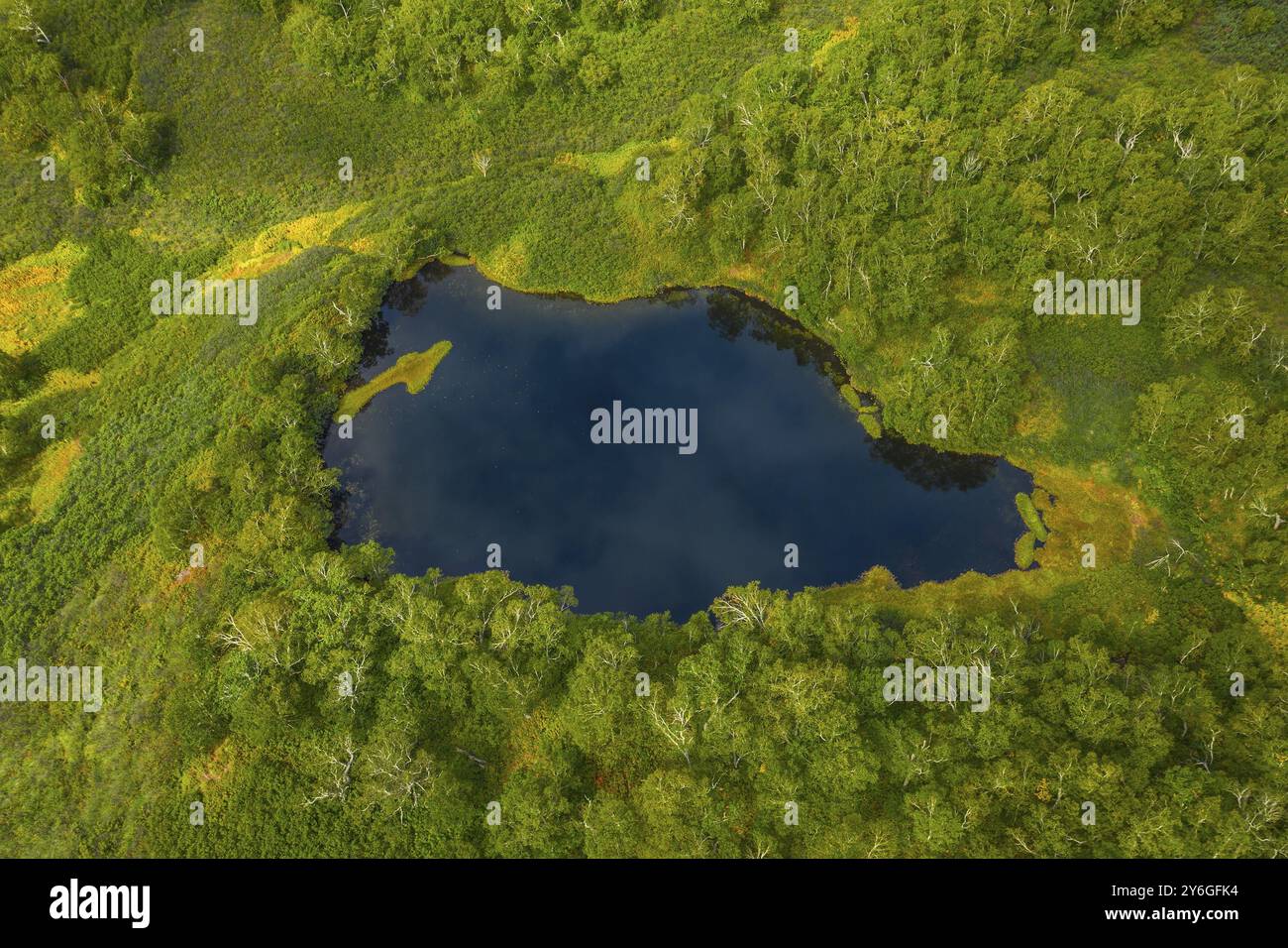 Aerial top view of blue lake In north forest, Kamchatka, Russia, Europe ...