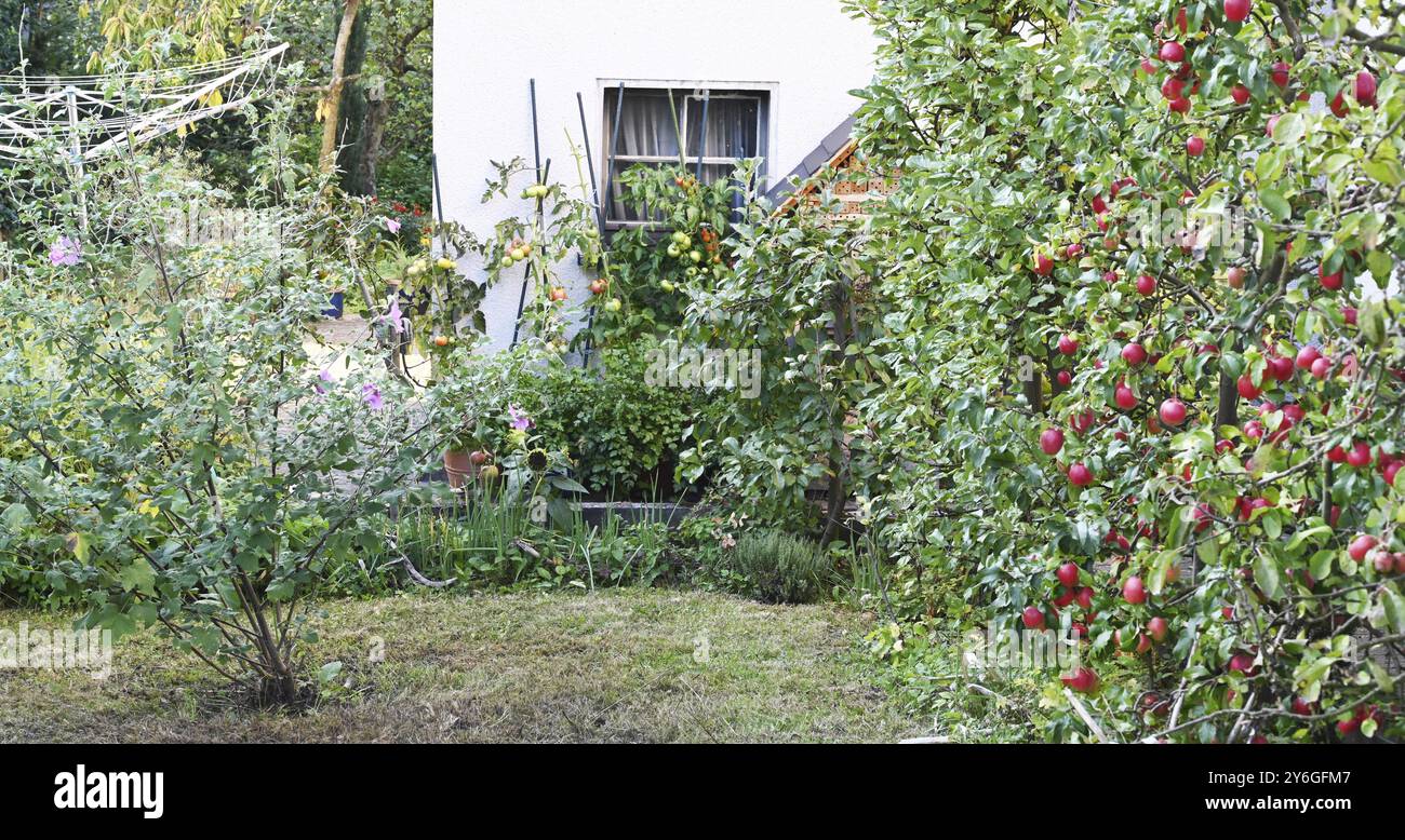 DEU, Germany, Iserlohn: There's not much sign of autumn in the forest ...