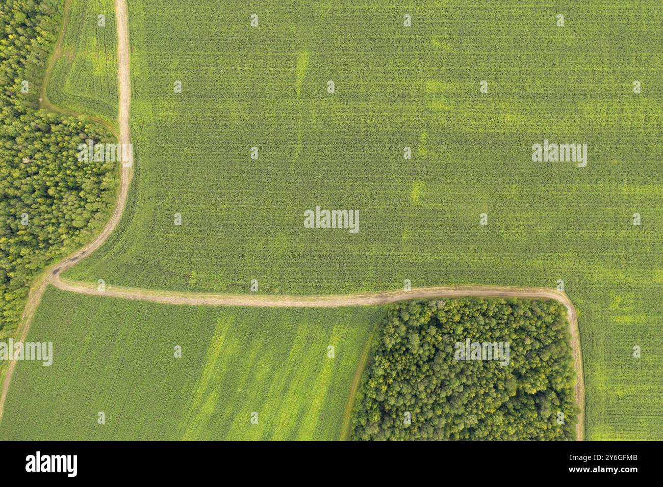Aerial top view drone photography of a land with sown green fields in ...