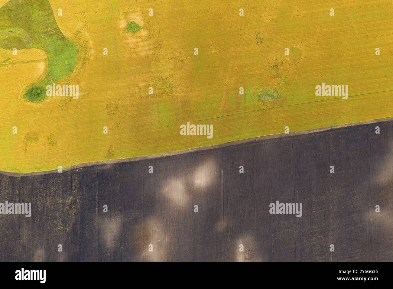 Aerial top view drone photography of a land with sown green fields in ...