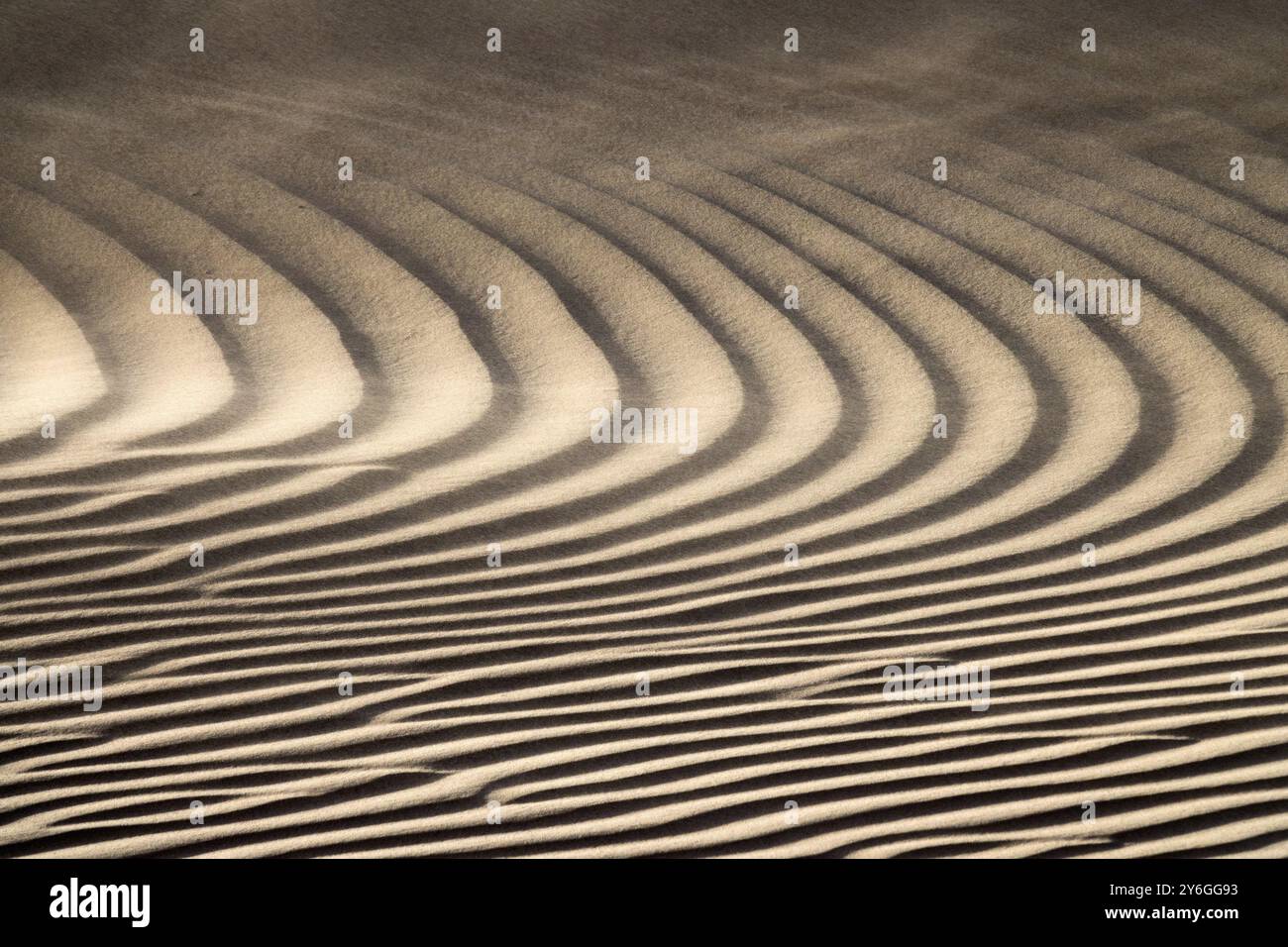 Sand blowing over sand dunes in wind, Sahara desert Stock Photo - Alamy