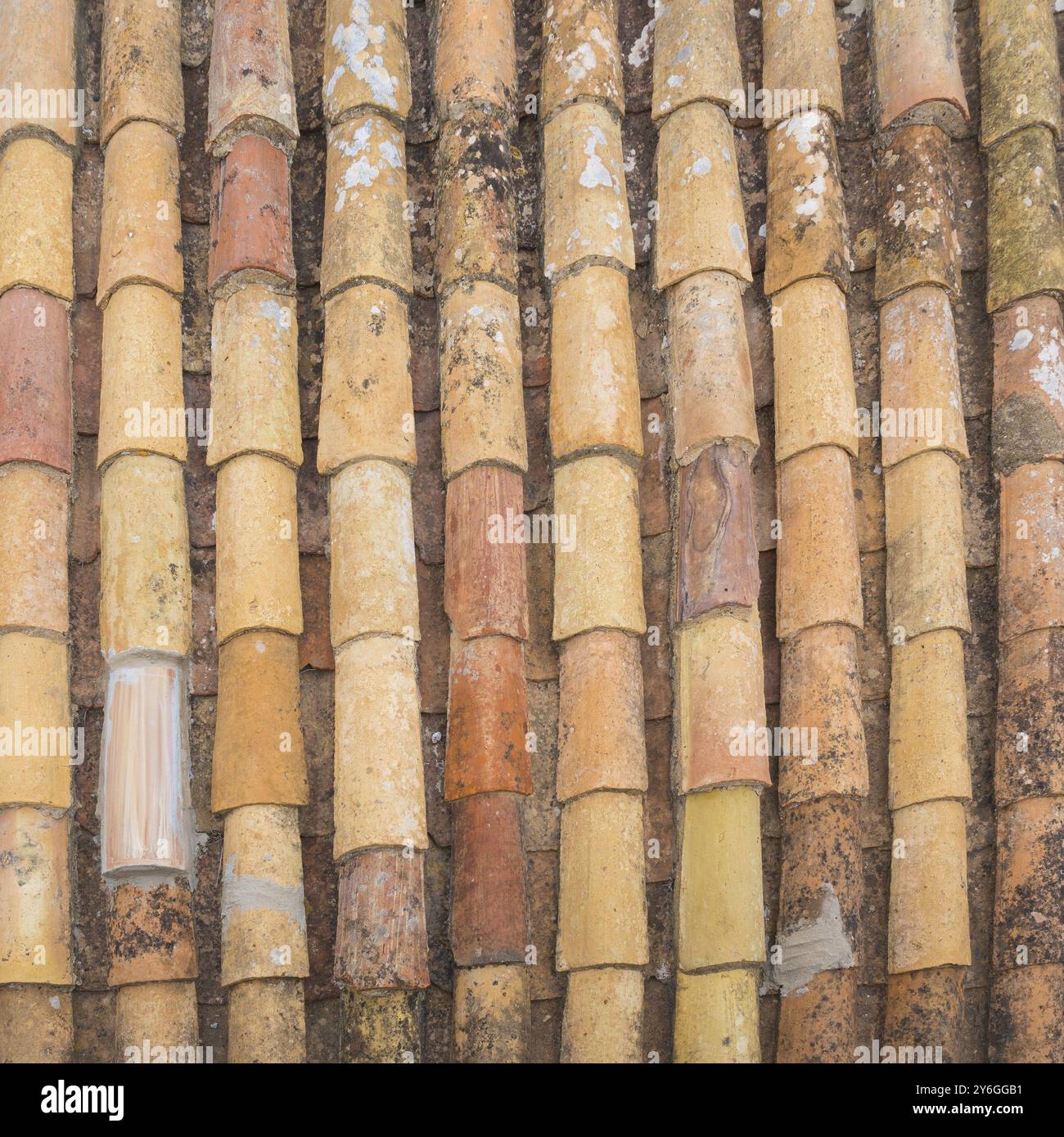 1 1 aspect ratio hi-res stock photography and images - Alamy