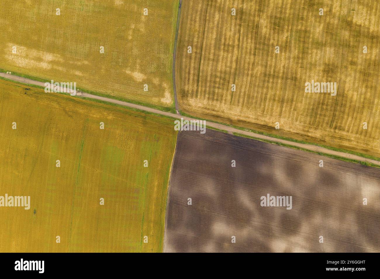 Aerial top view drone photography of a land with sown green fields in ...