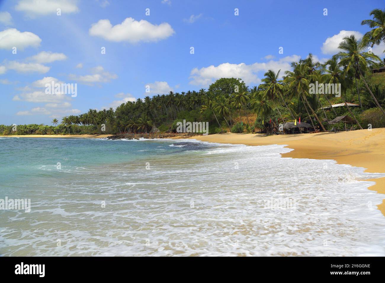 Nature and tropical beaches hi-res stock photography and images - Alamy