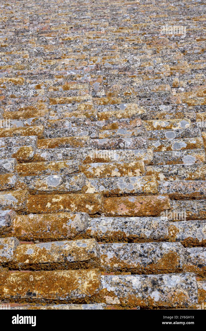 Vertical shot roof tile hi-res stock photography and images - Alamy