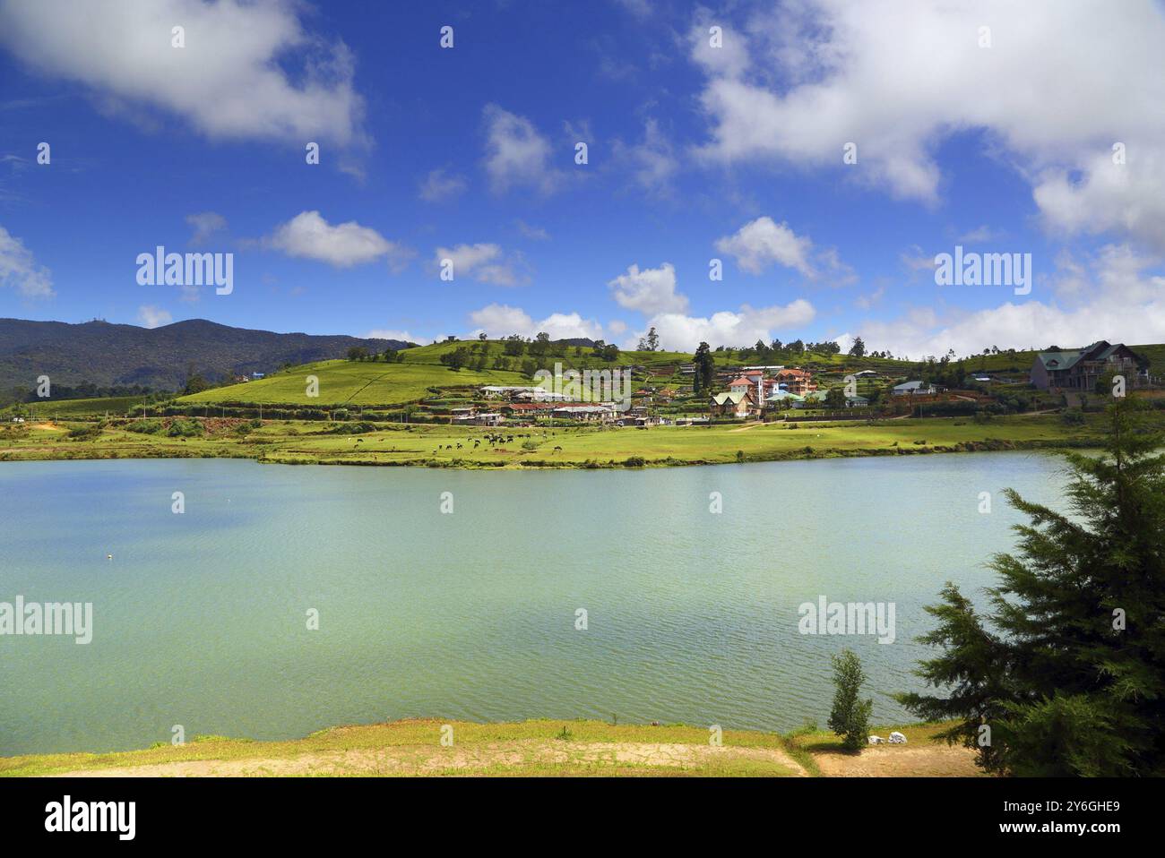 Landscape with Gregory lake in Nuwara Eliya, Sri Lanka, Asia Stock ...