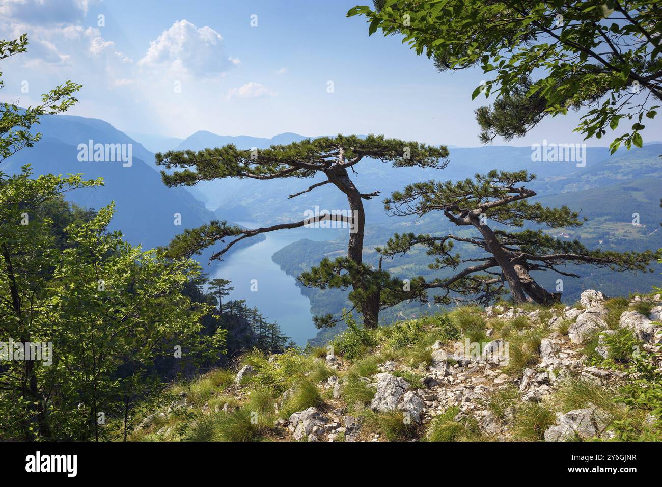 View from famous Banjska stena on Drina river in Tara National Park ...