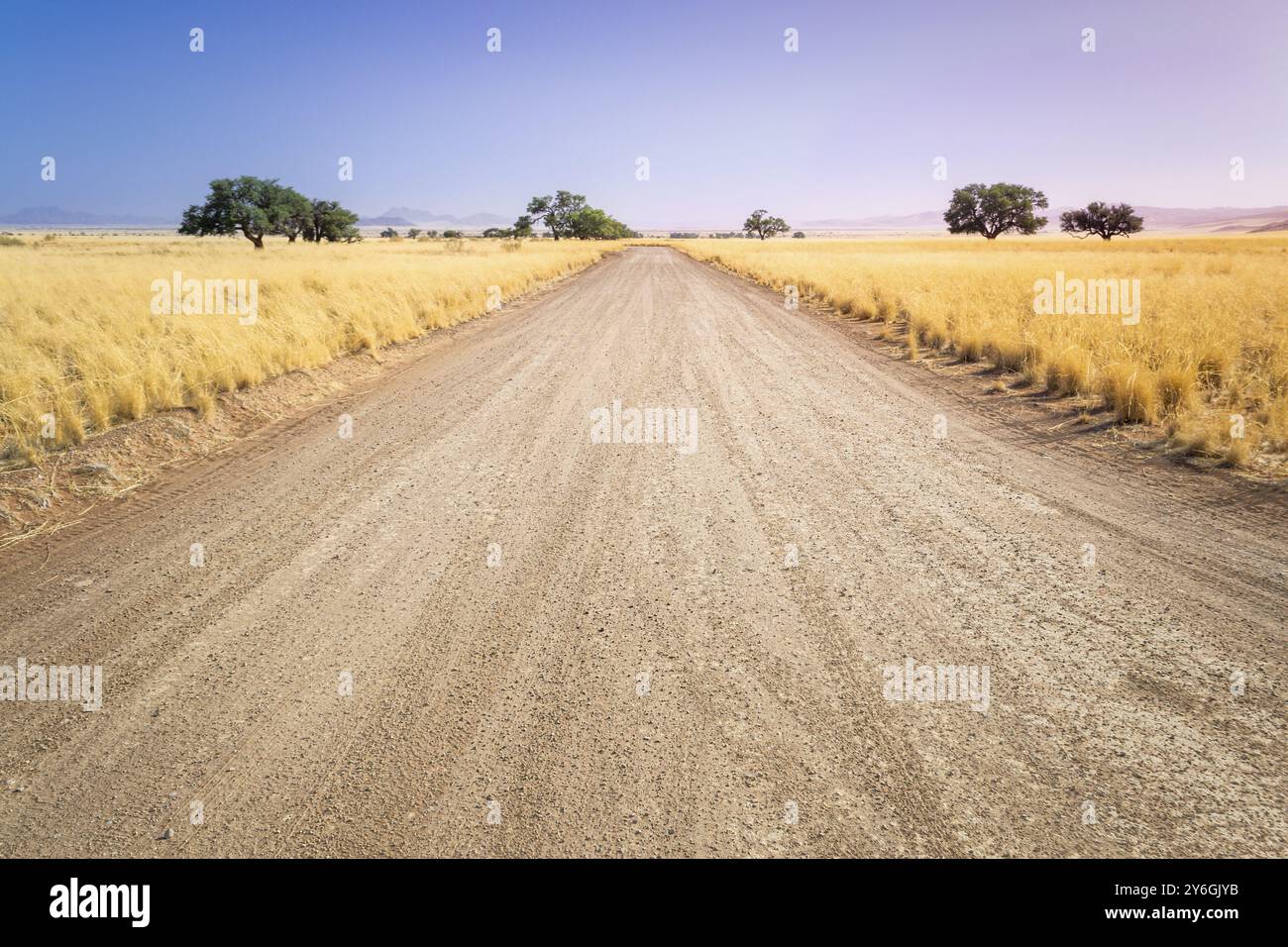 Grass-lined Namibian savanna gravel road near Sossusvlei, Namibia ...