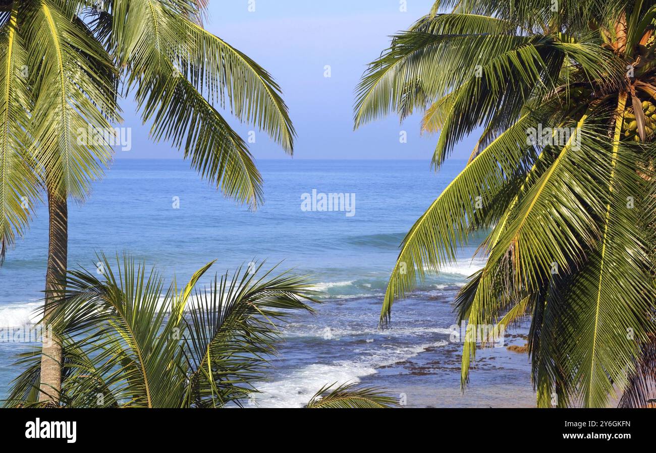 Beautiful blue sea landscape with palm leaves on foreground Stock Photo ...
