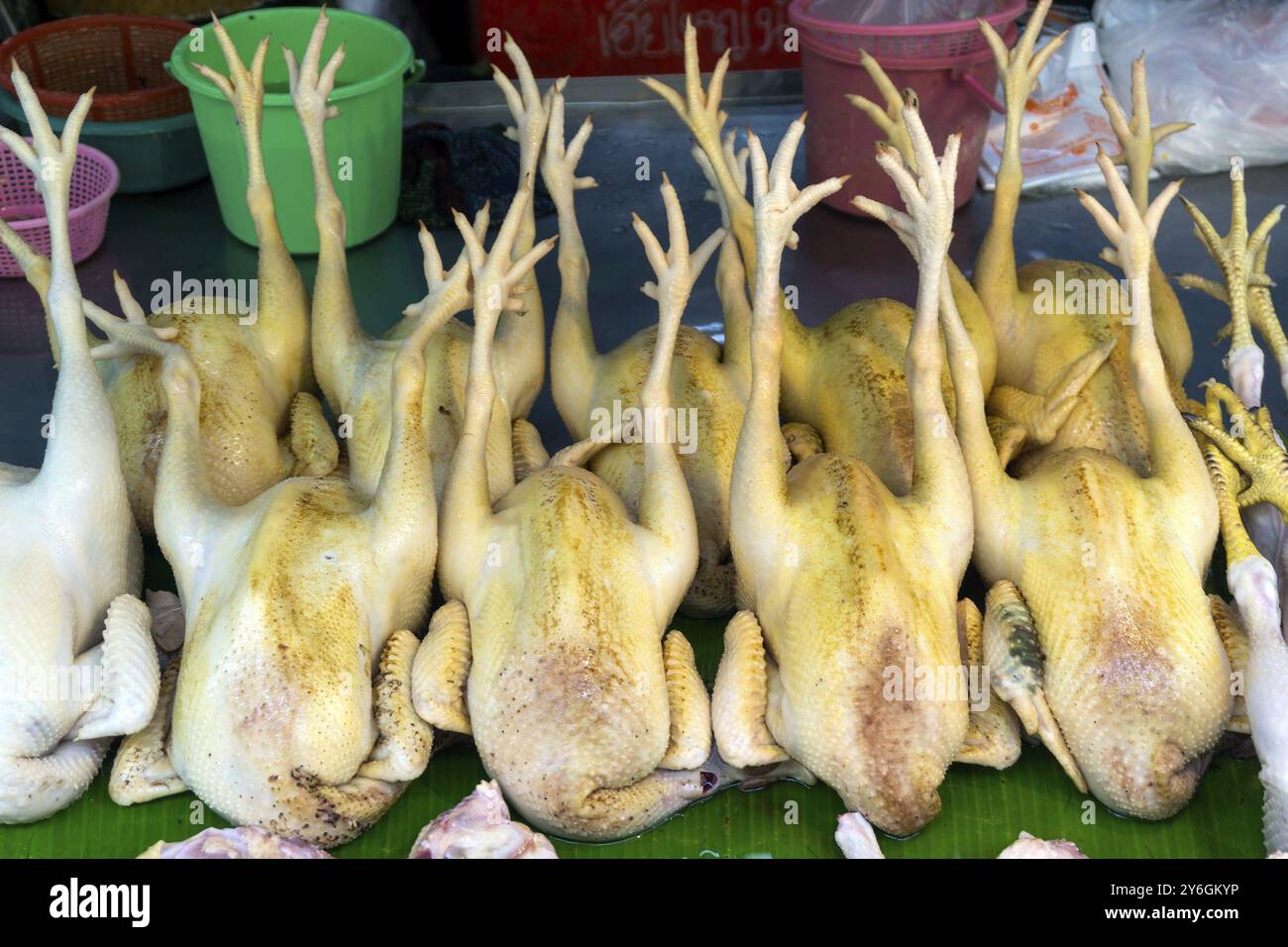 Raw chickens on market in thailand Stock Photo - Alamy