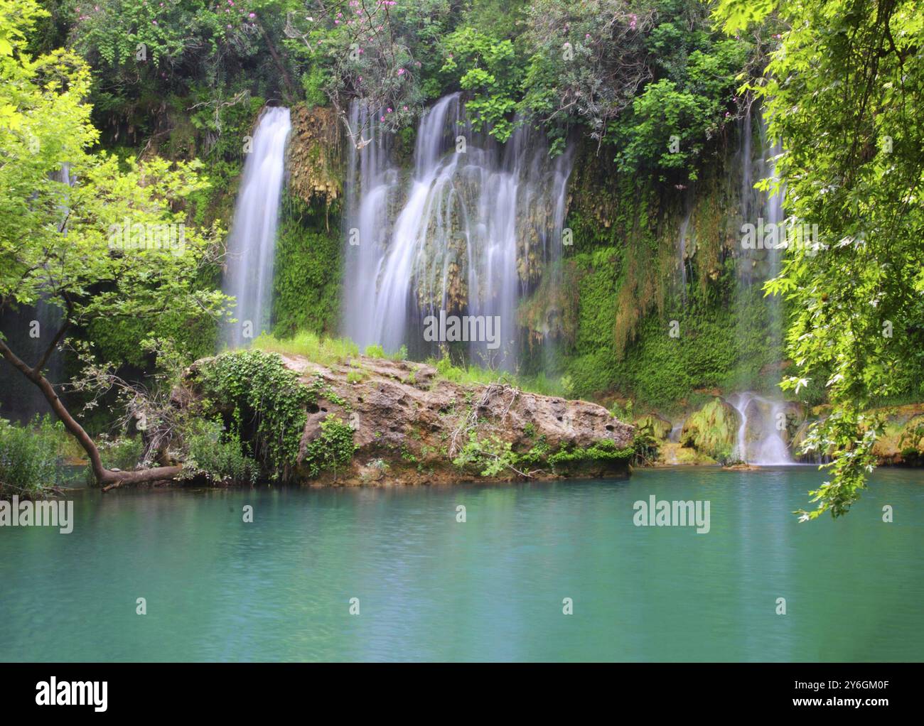 Southwestern forests hi-res stock photography and images - Alamy