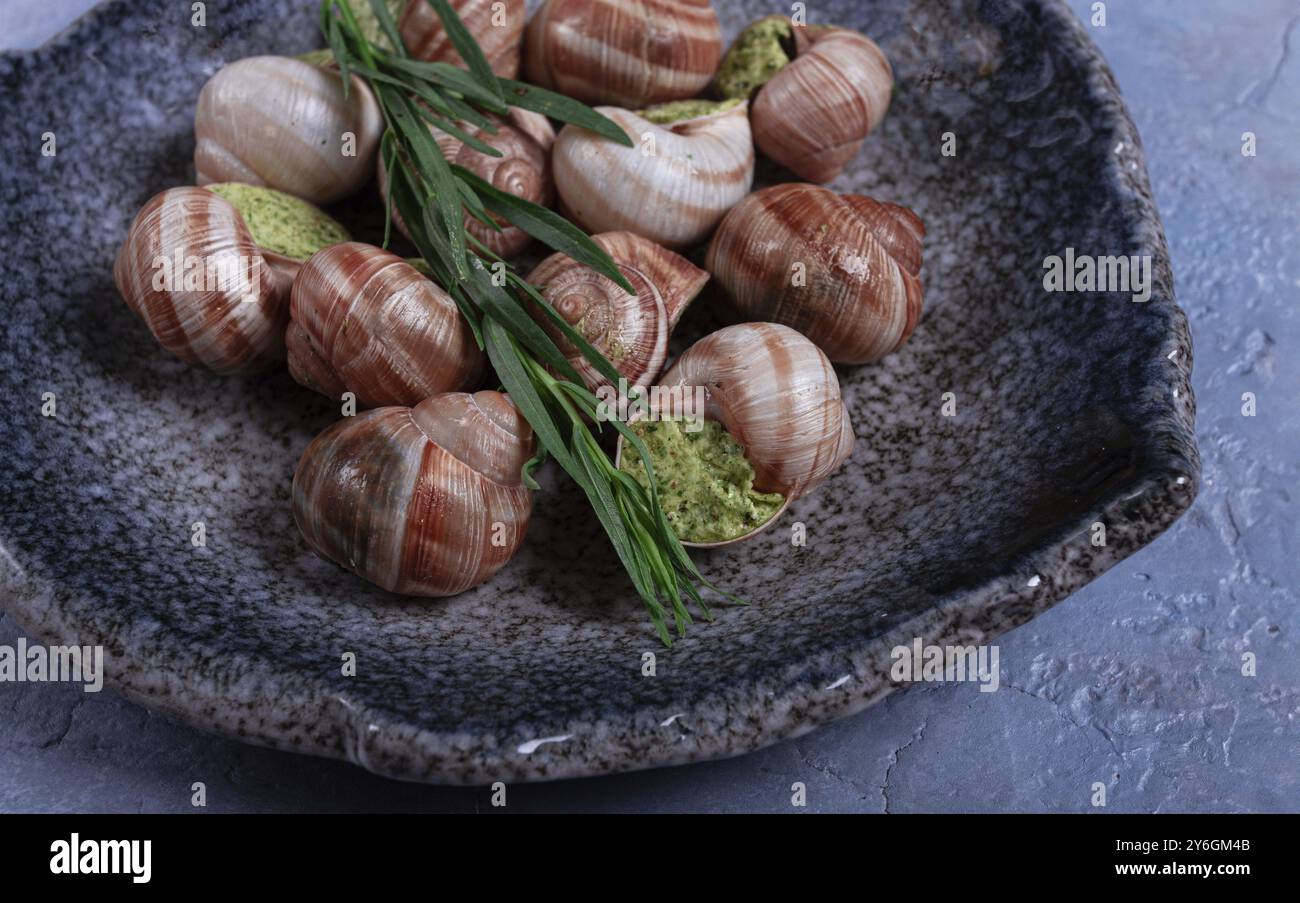 Food, Snails stuffed in Burgundy, on a plate, top view, French cuisine ...