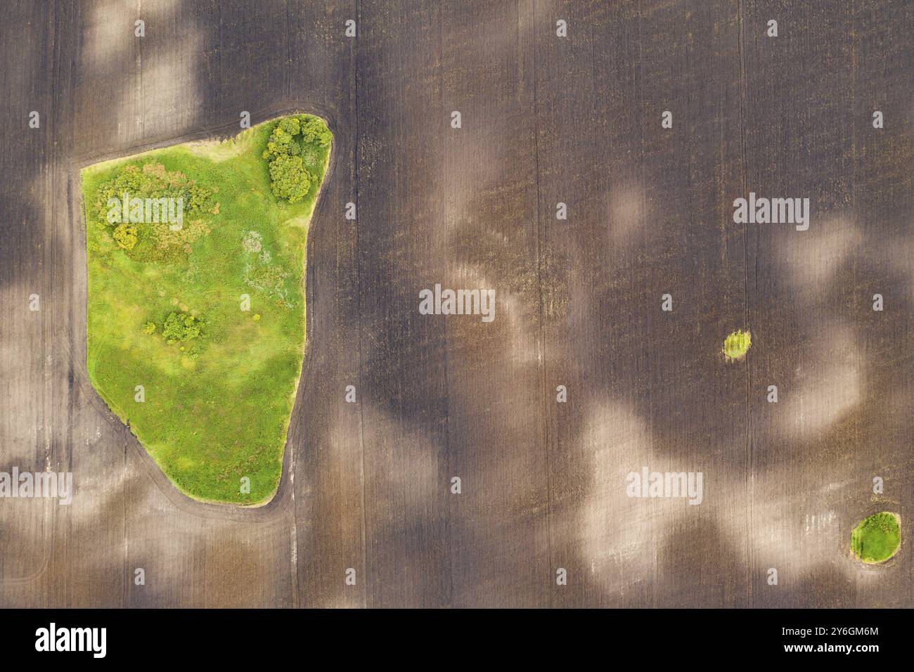 Aerial top view drone photography of a land with sown green fields in ...