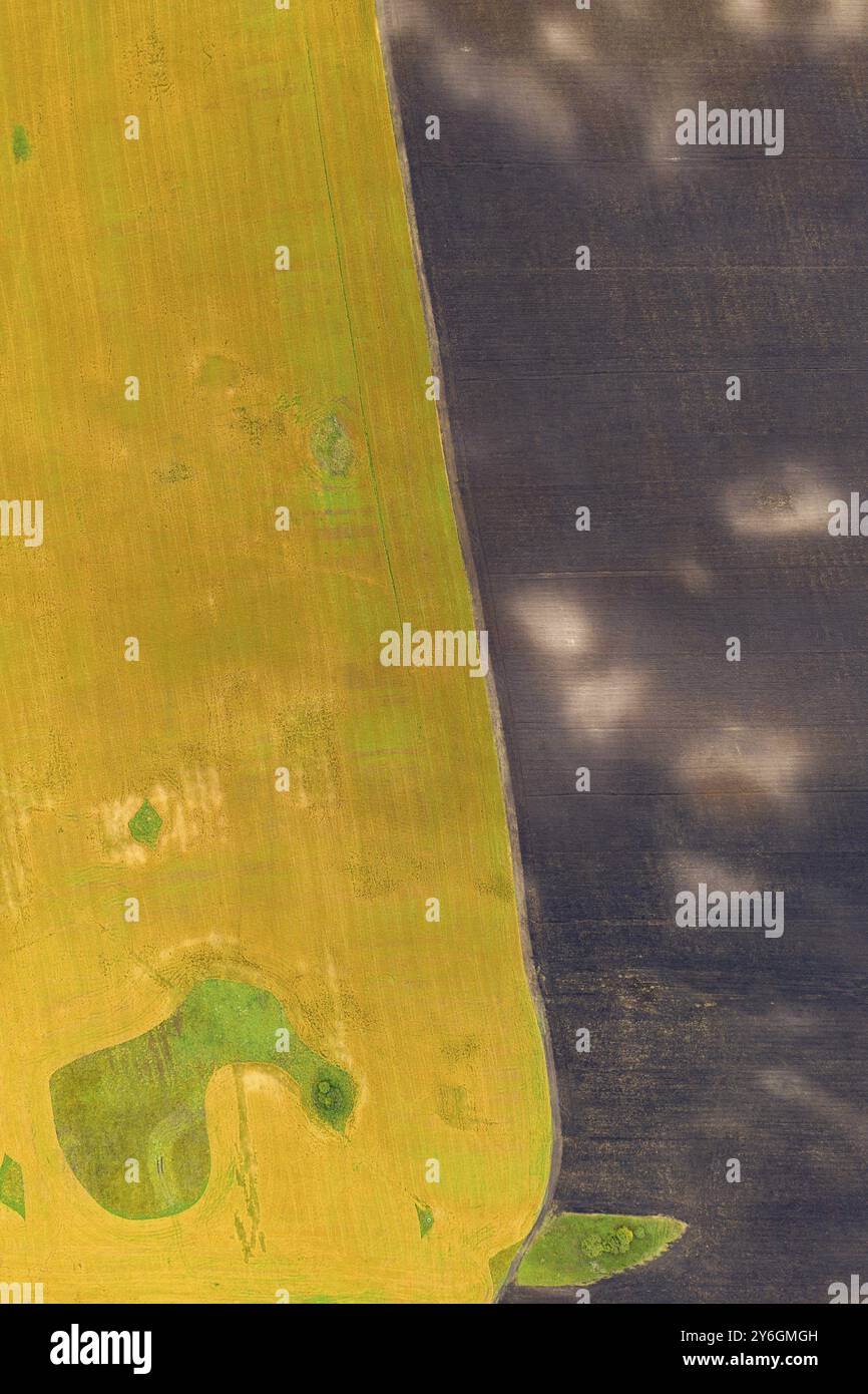 Aerial top view drone photography of a land with sown green fields in ...