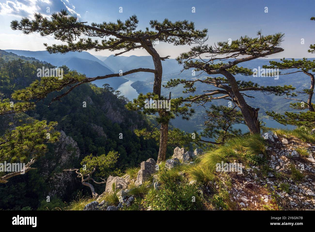 View from famous Banjska stena on Drina river in Tara National Park ...