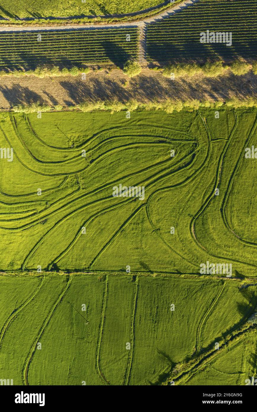Aerial view farmland green pastures hi-res stock photography and images ...