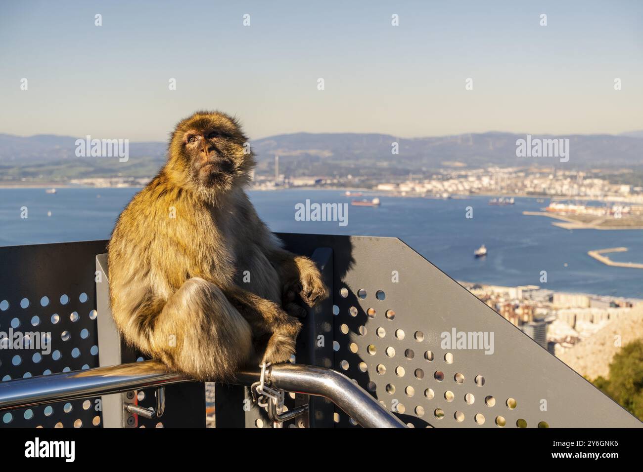 Beautiful Landscape view of monkey from Gibraltar Skywalk in Spain's ...