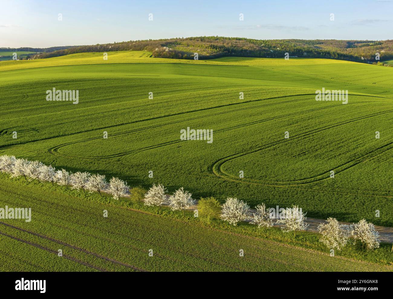 Birds eye view moravia hi-res stock photography and images - Alamy