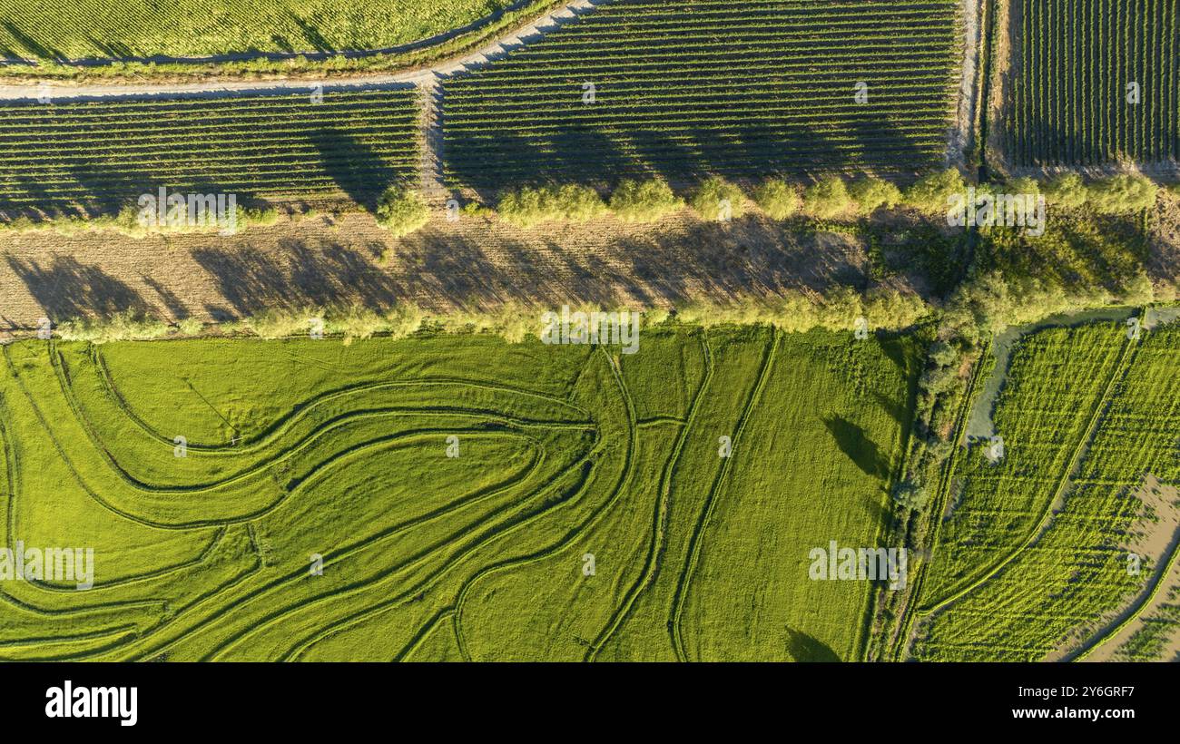 Overhead drone shot rice field hi-res stock photography and images - Alamy