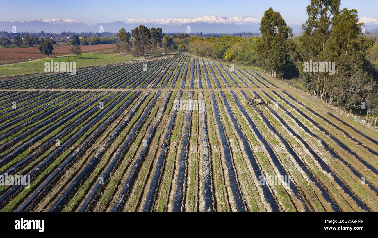 Aerial top view drone photography of chilean landscape Stock Photo - Alamy