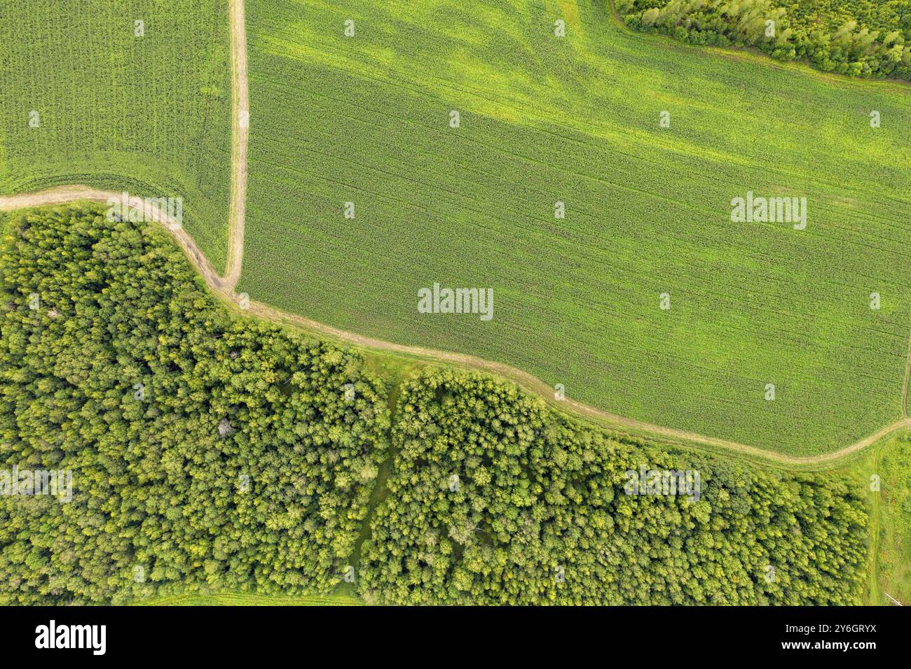 Aerial top view drone photography of a land with sown green fields in ...