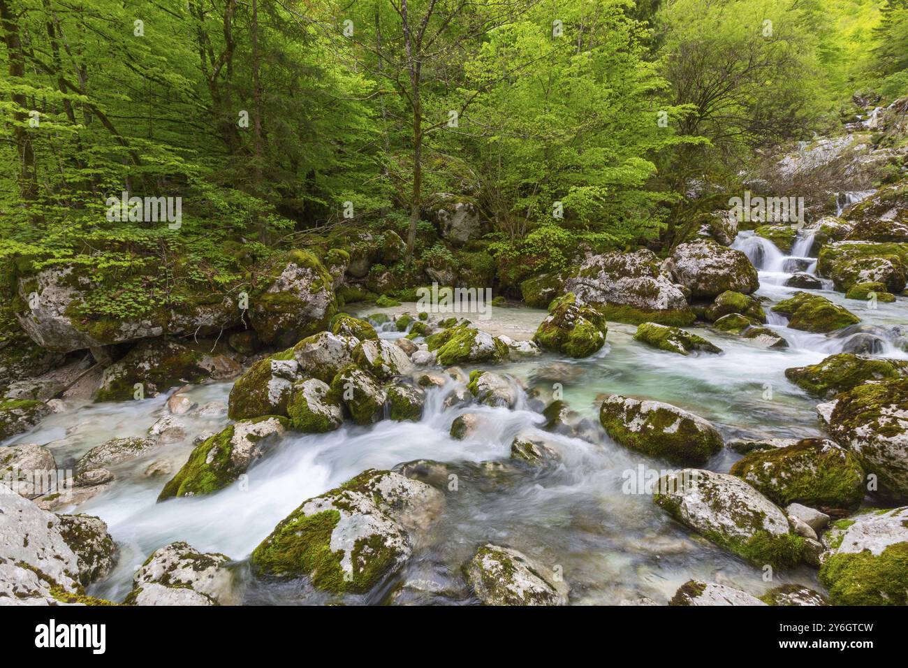 Forest stream in Alps mountains at spring, long exposure Stock Photo ...