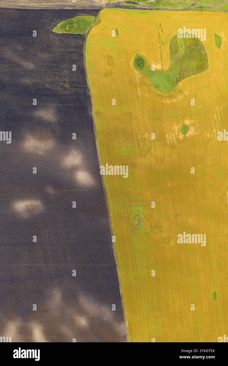 Aerial top view drone photography of a land with sown green fields in ...