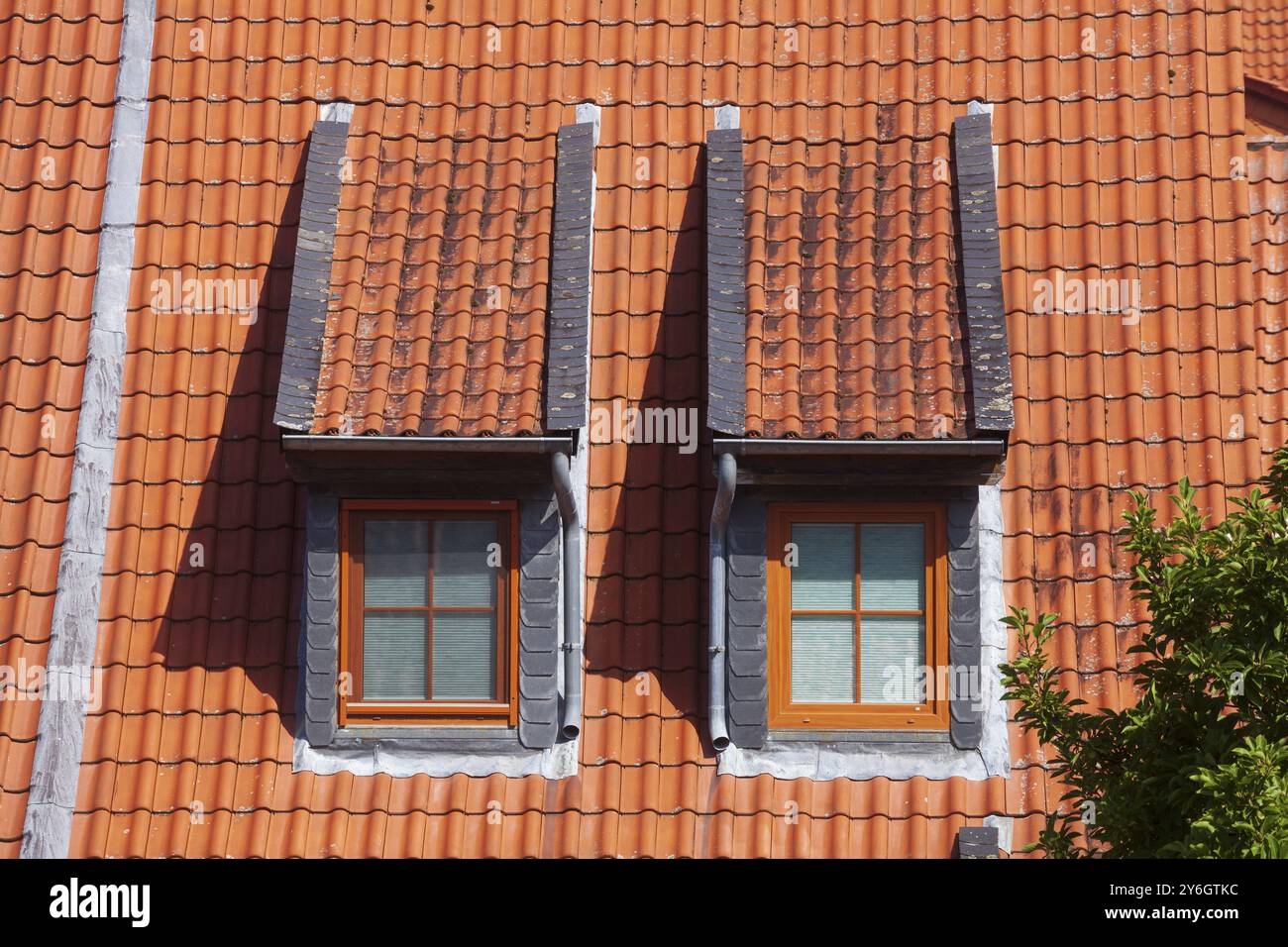 Reddish roof with roof tiles and skylights in the historic city centre ...
