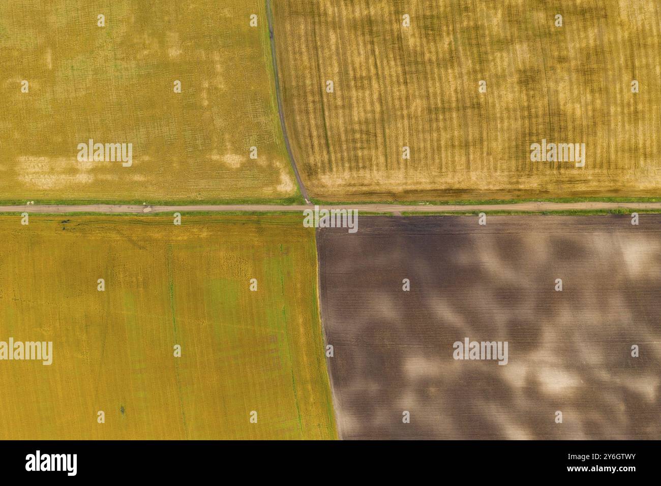 Aerial top view drone photography of a land with sown green fields in ...