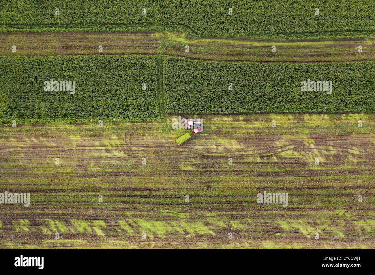 Aerial top view drone photography of a land with sown green fields in ...