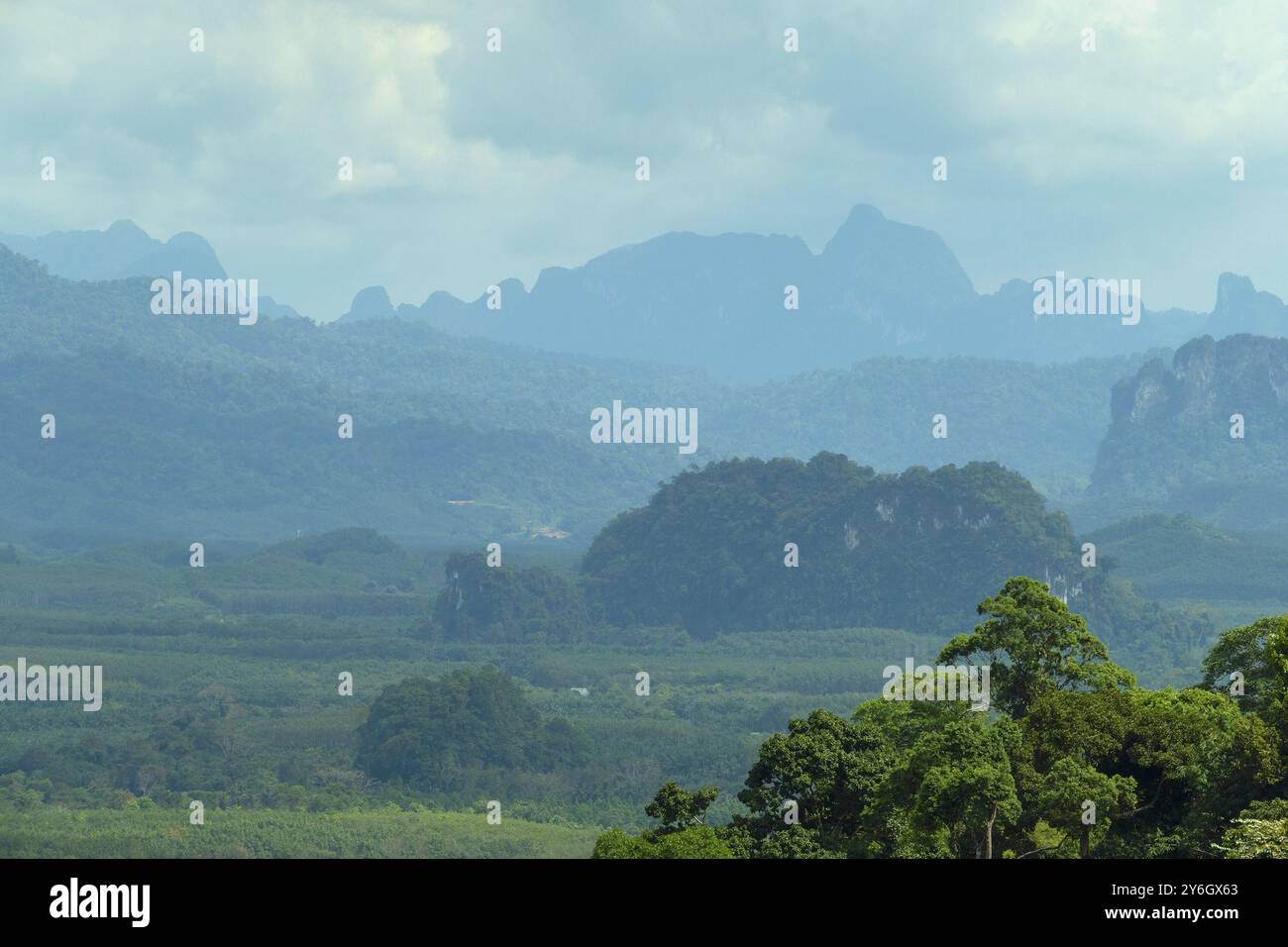 Mountain landscape with Rainforest of Khao Sok National Park in ...